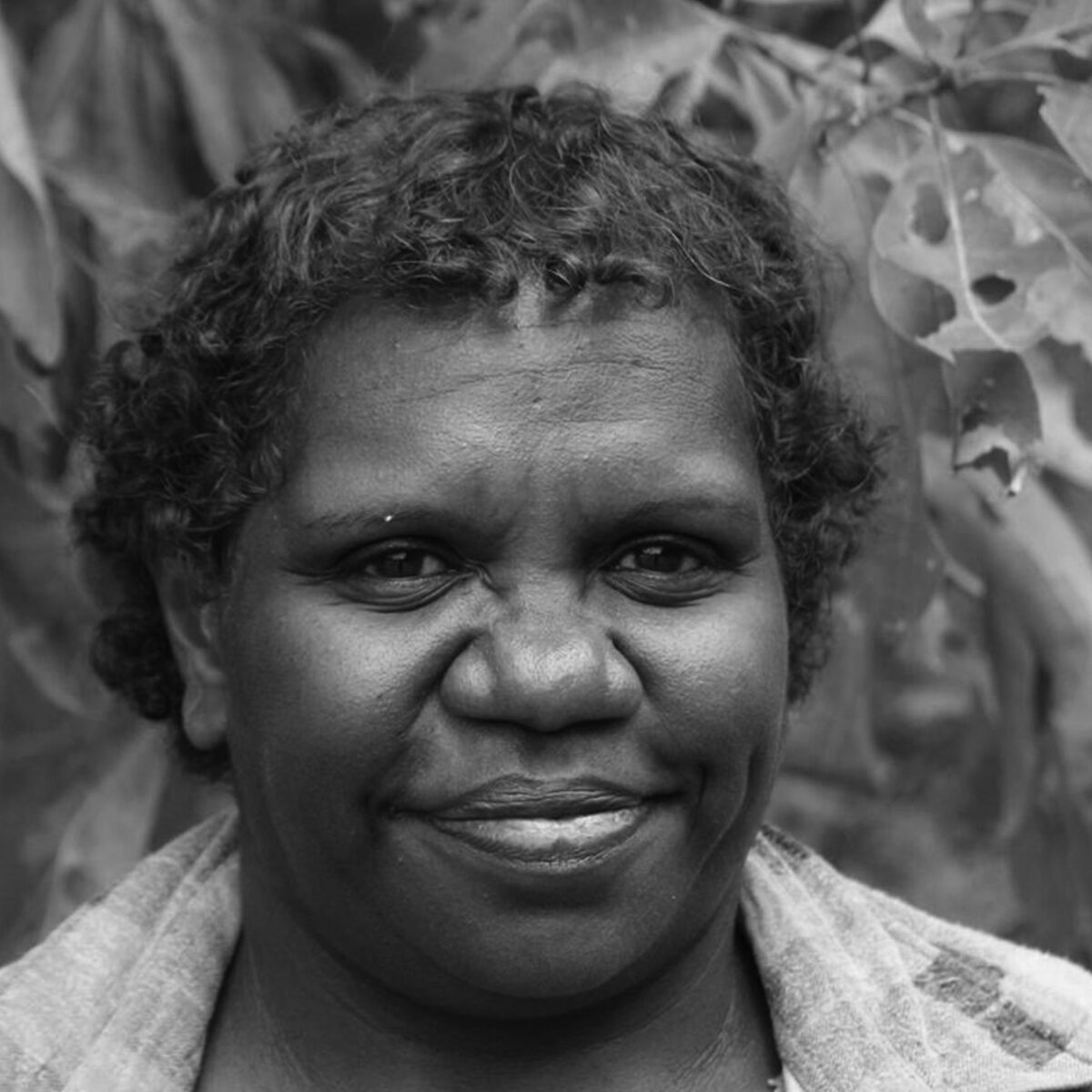 Meet the artists – Girringun