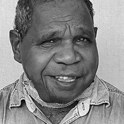 Meet the artists – Girringun